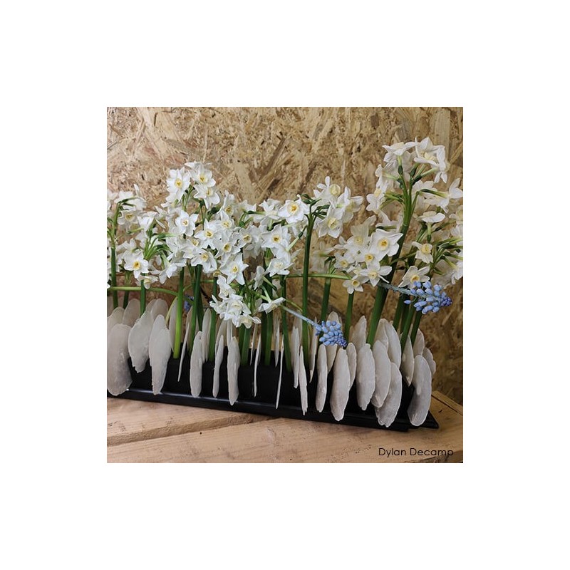 Table déco OASIS® BLACK, pour vos centres de table, présentation pour ...