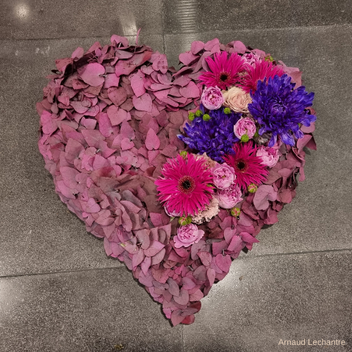 Mousse florale Découvrez notre gamme de mousse florale