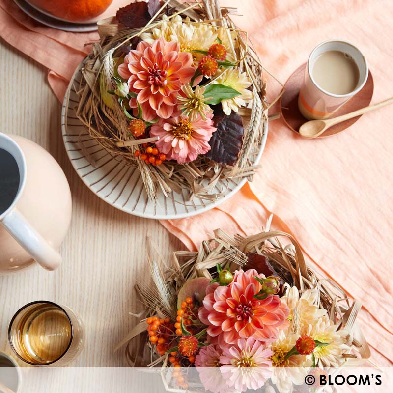 Mousse florale Découvrez notre gamme de mousse florale