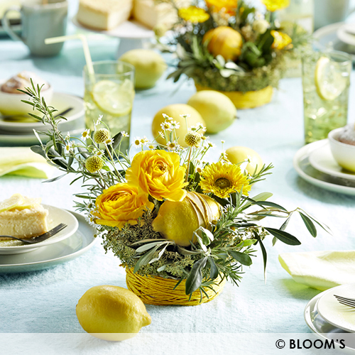 Mousse florale Découvrez notre gamme de mousse florale