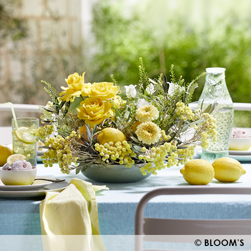 Mousse florale Découvrez notre gamme de mousse florale